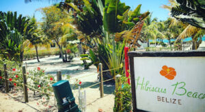 Discover Five Ecosystems In Belize — Remax VIP Belize