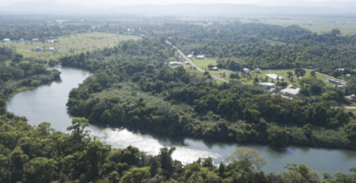 One Acre of Jungle on the Sittee River - Remax Vip Belize Real Estate