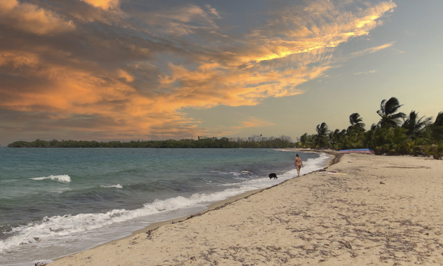 Buy Belize Property — Our Listings